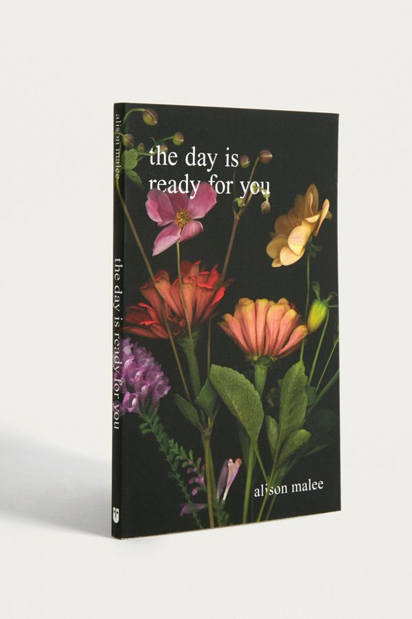 Alison Malee – Buch „The Day Is Ready for You“ | Urban Outfitters