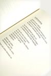 Alison Malee – Buch „The Day Is Ready for You“ | Urban Outfitters